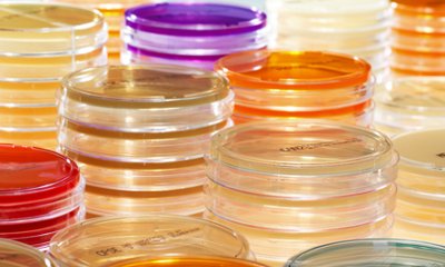 Galeries d'identification API® et APIWEB™